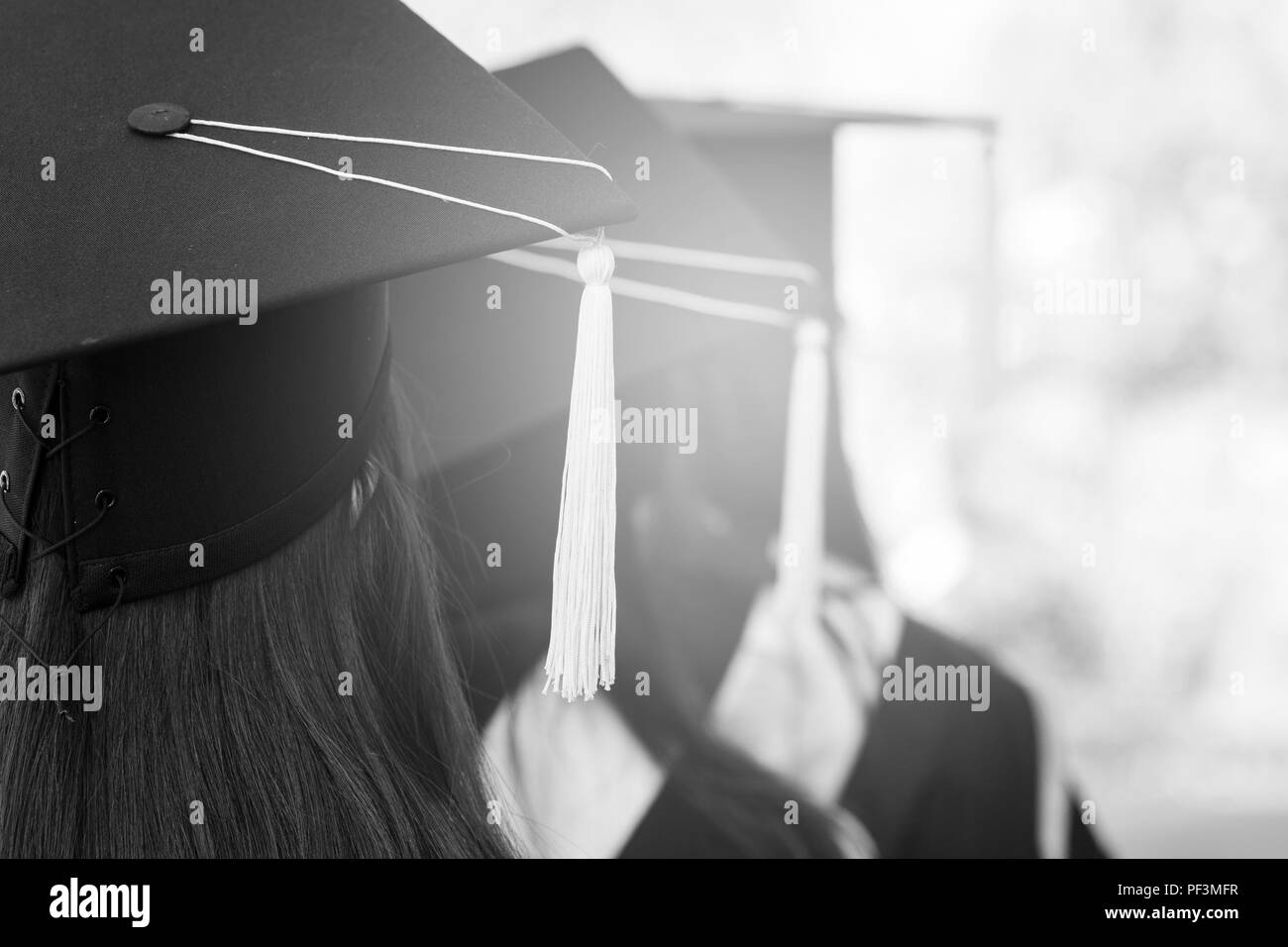 Back of graduation put on black blue tail cap with image old ancient ...