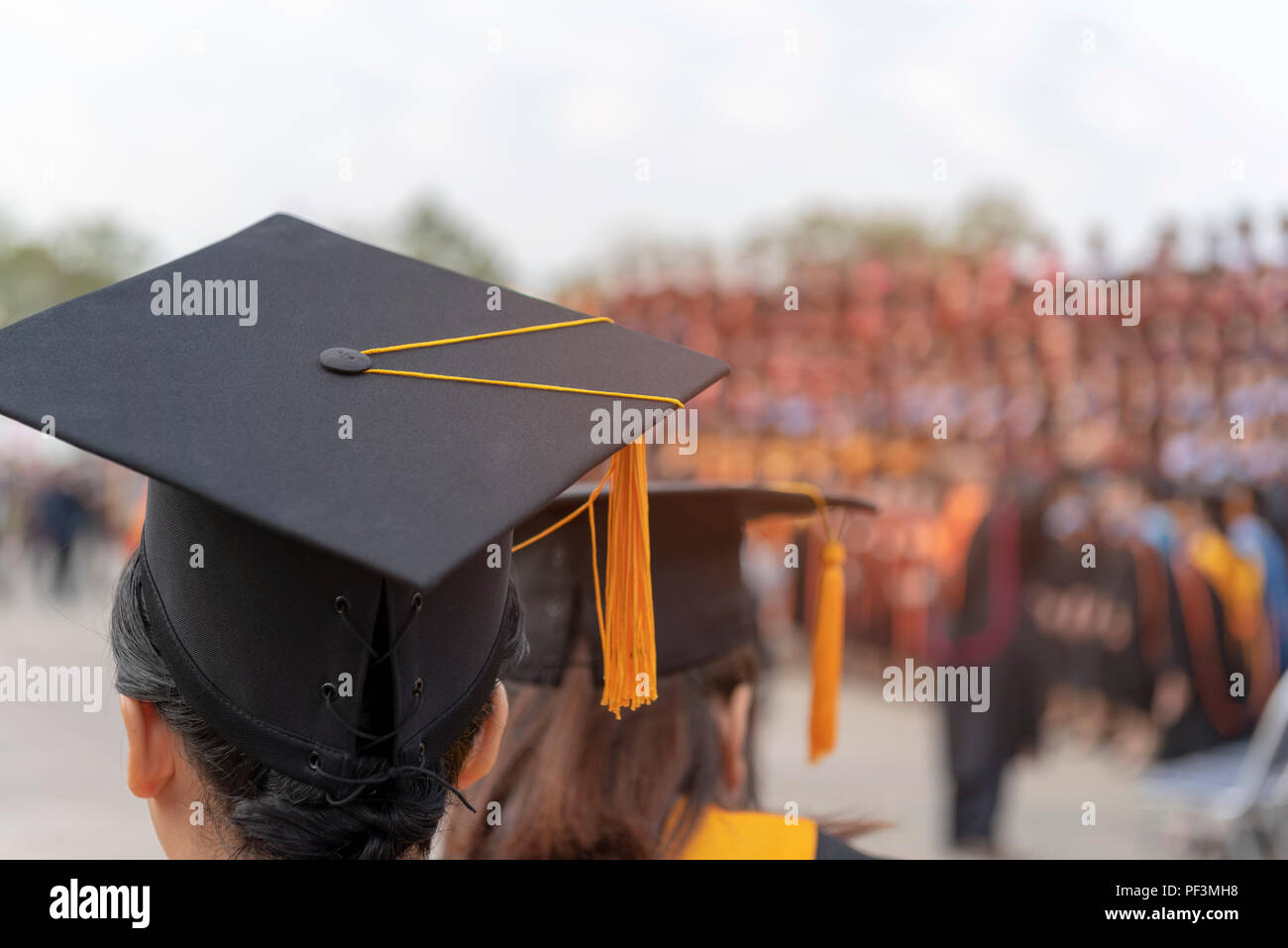 Back of graduation with black yellow tail cap at ceremony in graduation ...