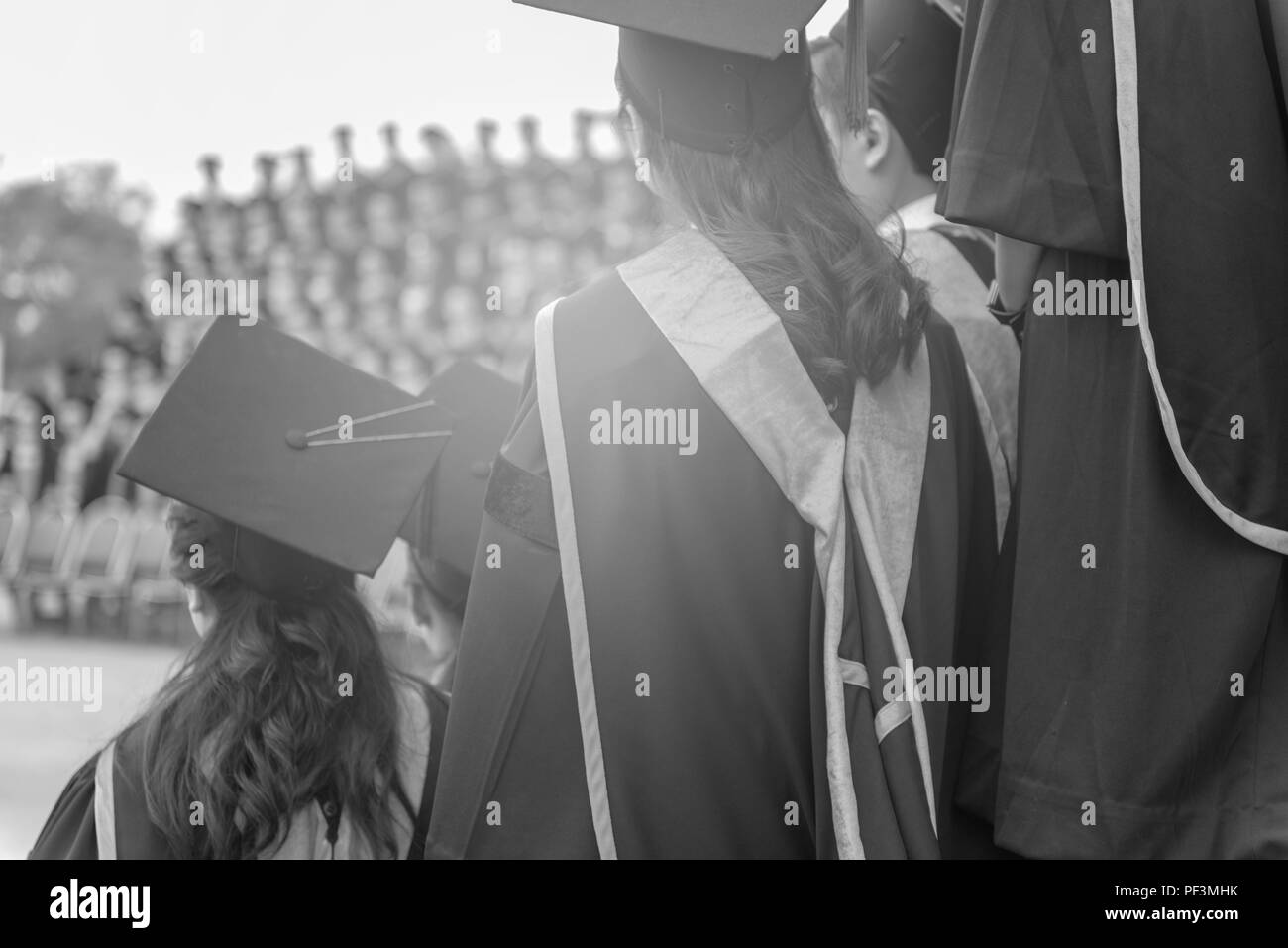 Back of graduation put on black blue tail cap with image old ancient ...