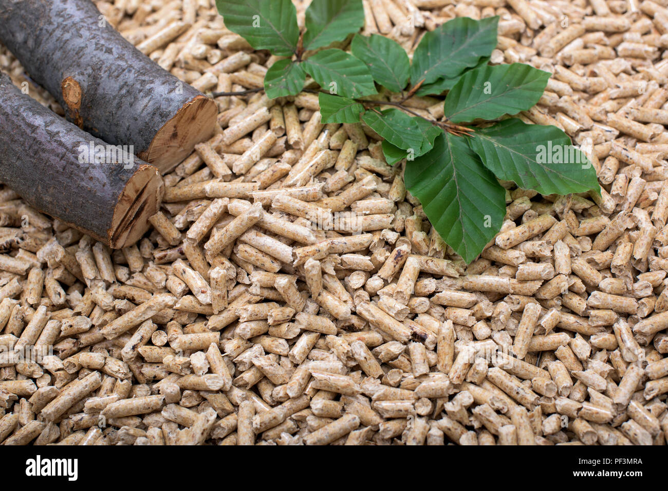 Large pile of oak biomass including pellets, wood and leaves Stock ...