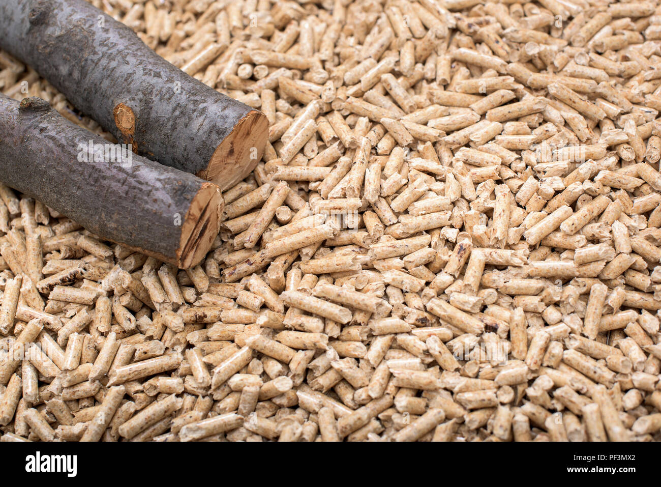 Two oak sticks of wood and oak pellets Stock Photo - Alamy