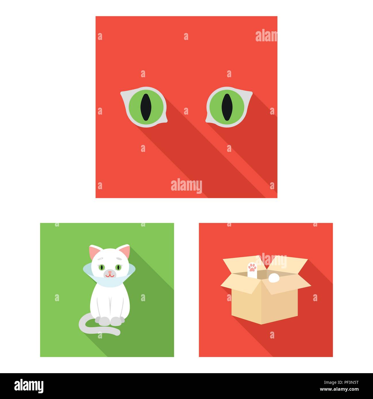 An animal cat flat icons in set collection for design. Caring for a cat ...