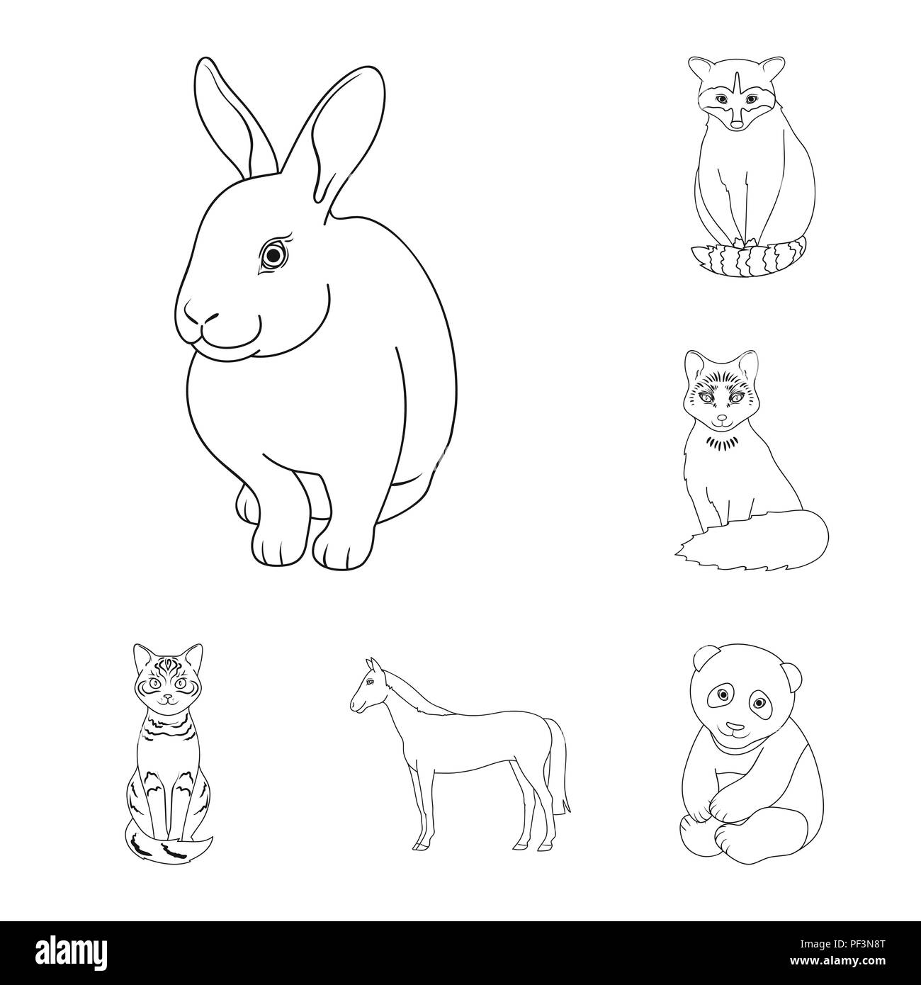 Realistic animals outline icons in set collection for design. Wild and ...