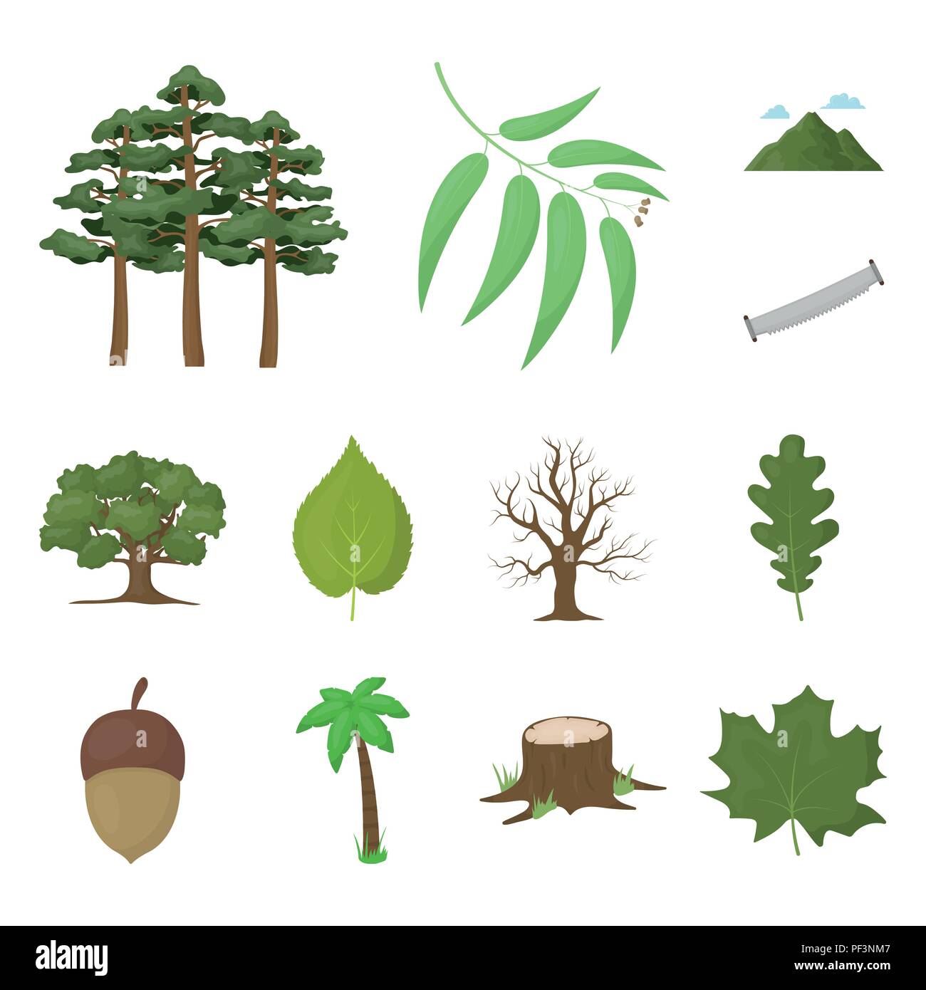 Forest and nature cartoon icons in set collection for design. Forest ...