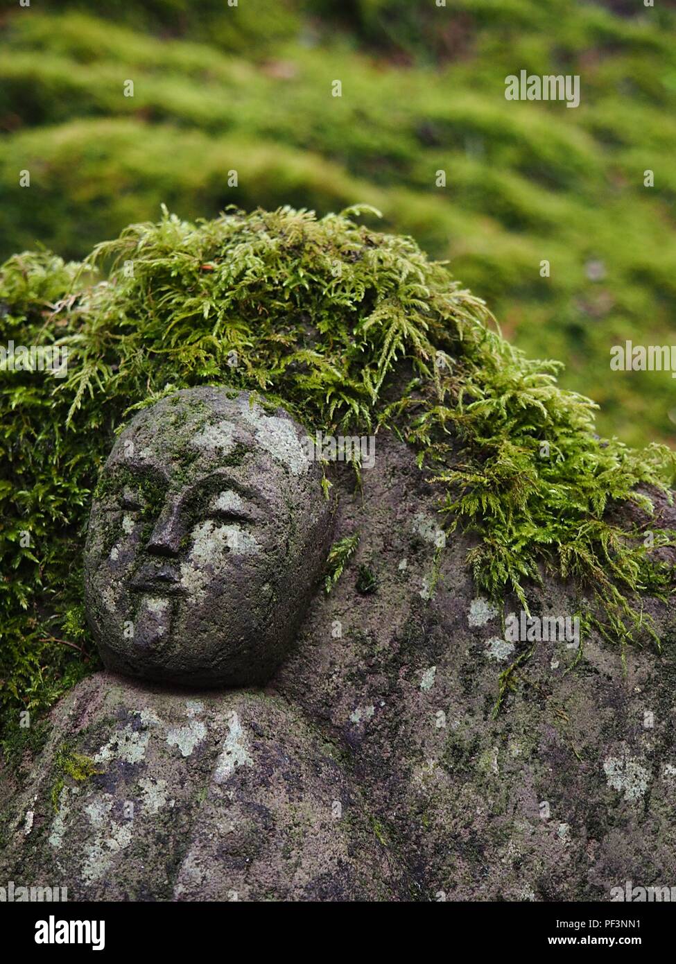 Moss Covered Path Japan Hi Res Stock Photography And Images Alamy