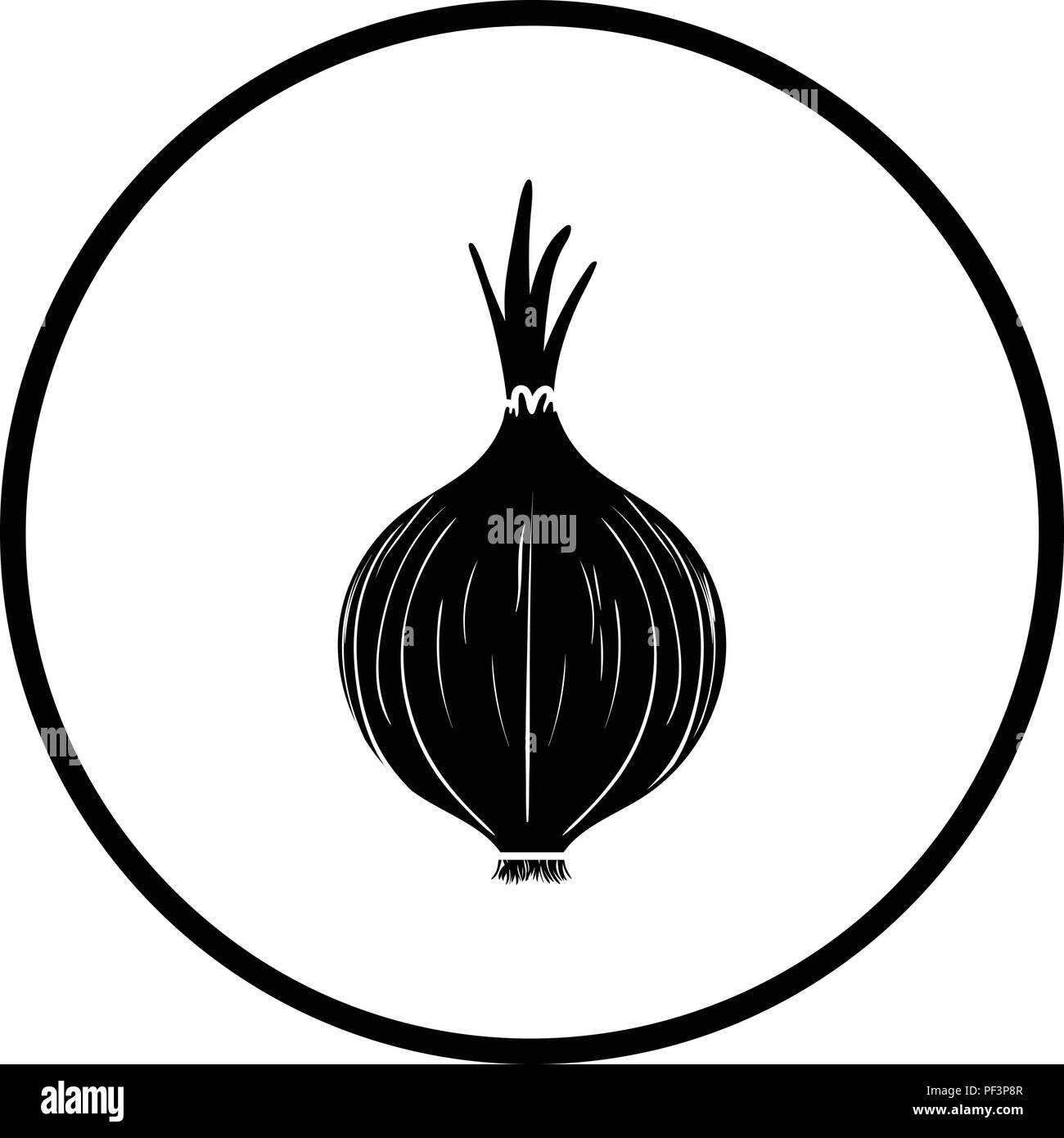 Circle onion Black and White Stock Photos & Images - Alamy