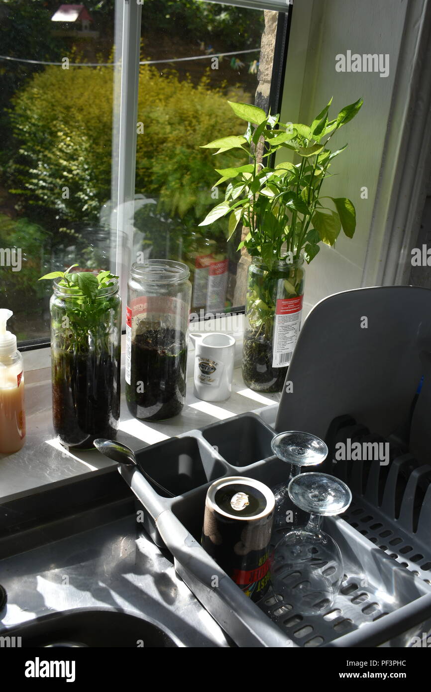 Water and kitchen Stock Photo - Alamy