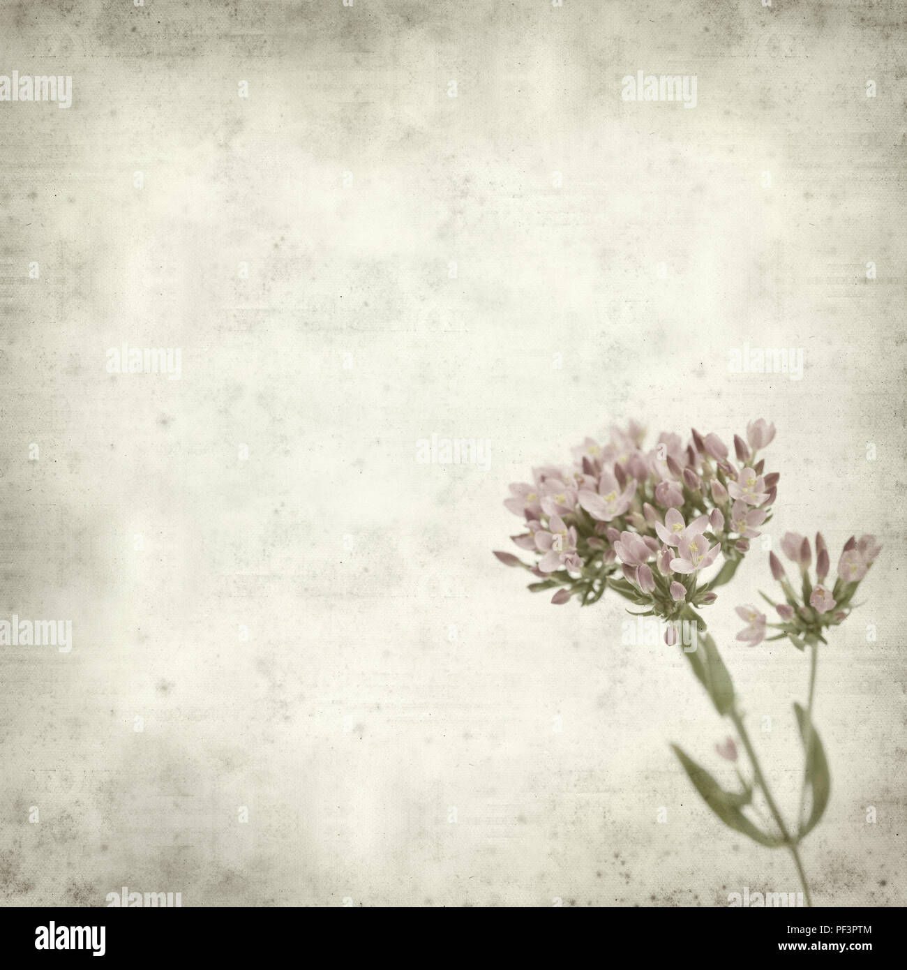 textured old paper background with pink flowers Stock Photo - Alamy