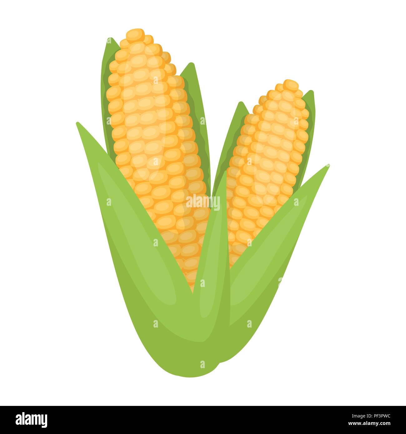 Sweet corn icon in cartoon style isolated on white background. Canadian ...