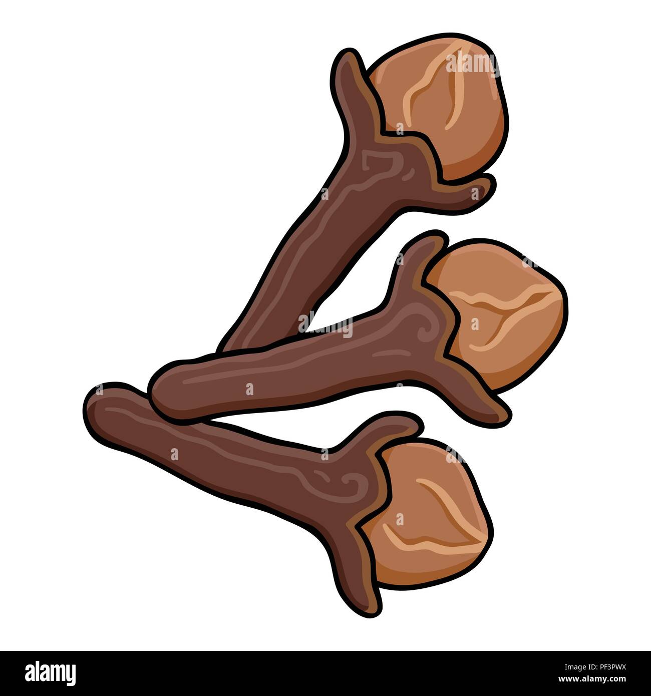 Clove icon in cartoon style isolated on white background. Herb an ...