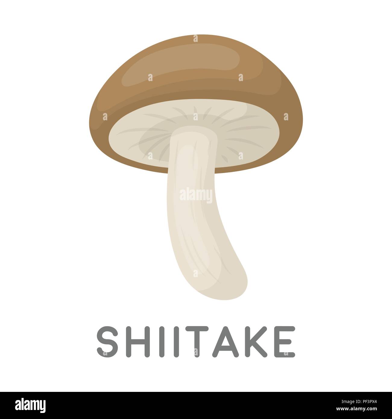Shiitake icon in cartoon style isolated on white background. Mushroom ...