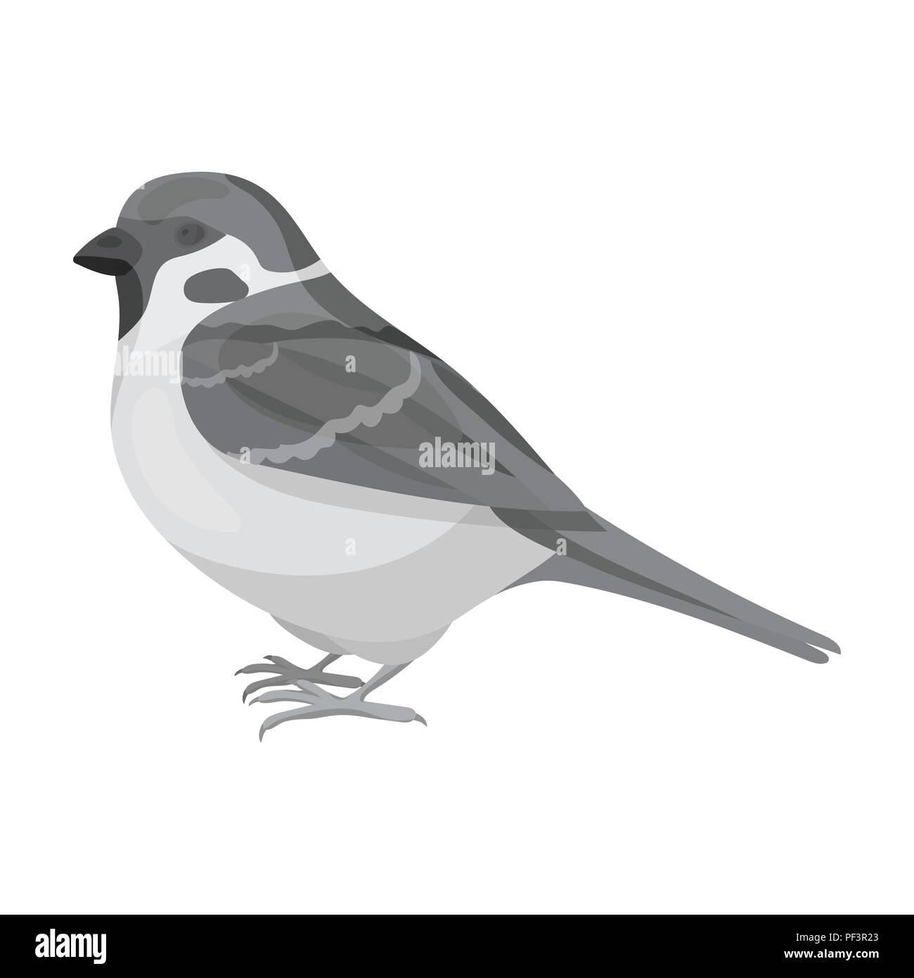 Sparrow icon in monochrome style isolated on white background. Bird ...