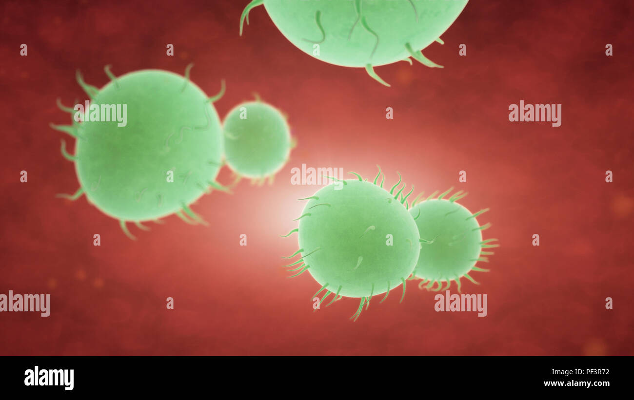 Transfusion transmitted virus hi-res stock photography and images - Alamy