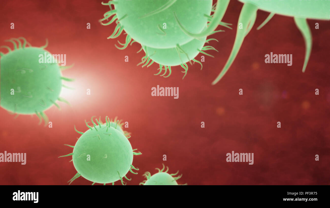 Bacteria spread inside the body. Infection And Immunodeficiency Concept ...