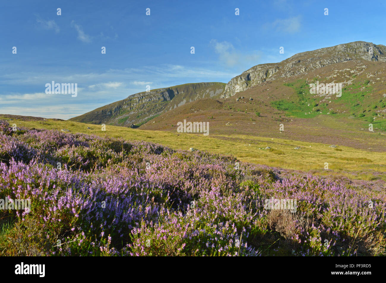 Arenig Fawr near Bala Stock Photo - Alamy