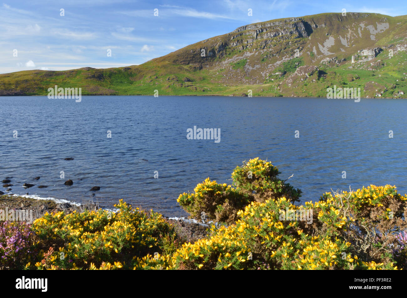 Arenig mountain range hi-res stock photography and images - Alamy