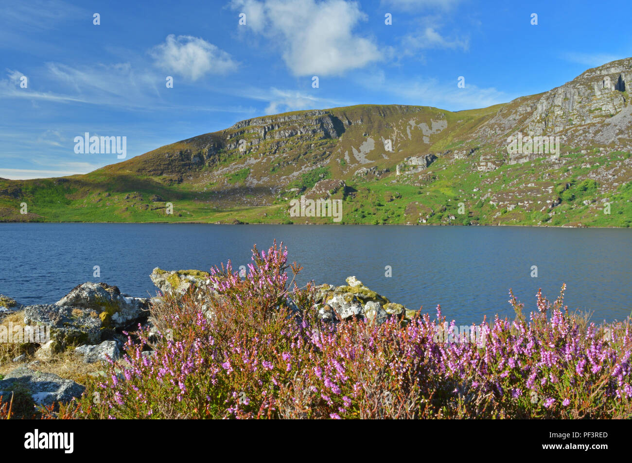 Arenig Mountains High Resolution Stock Photography and Images - Alamy
