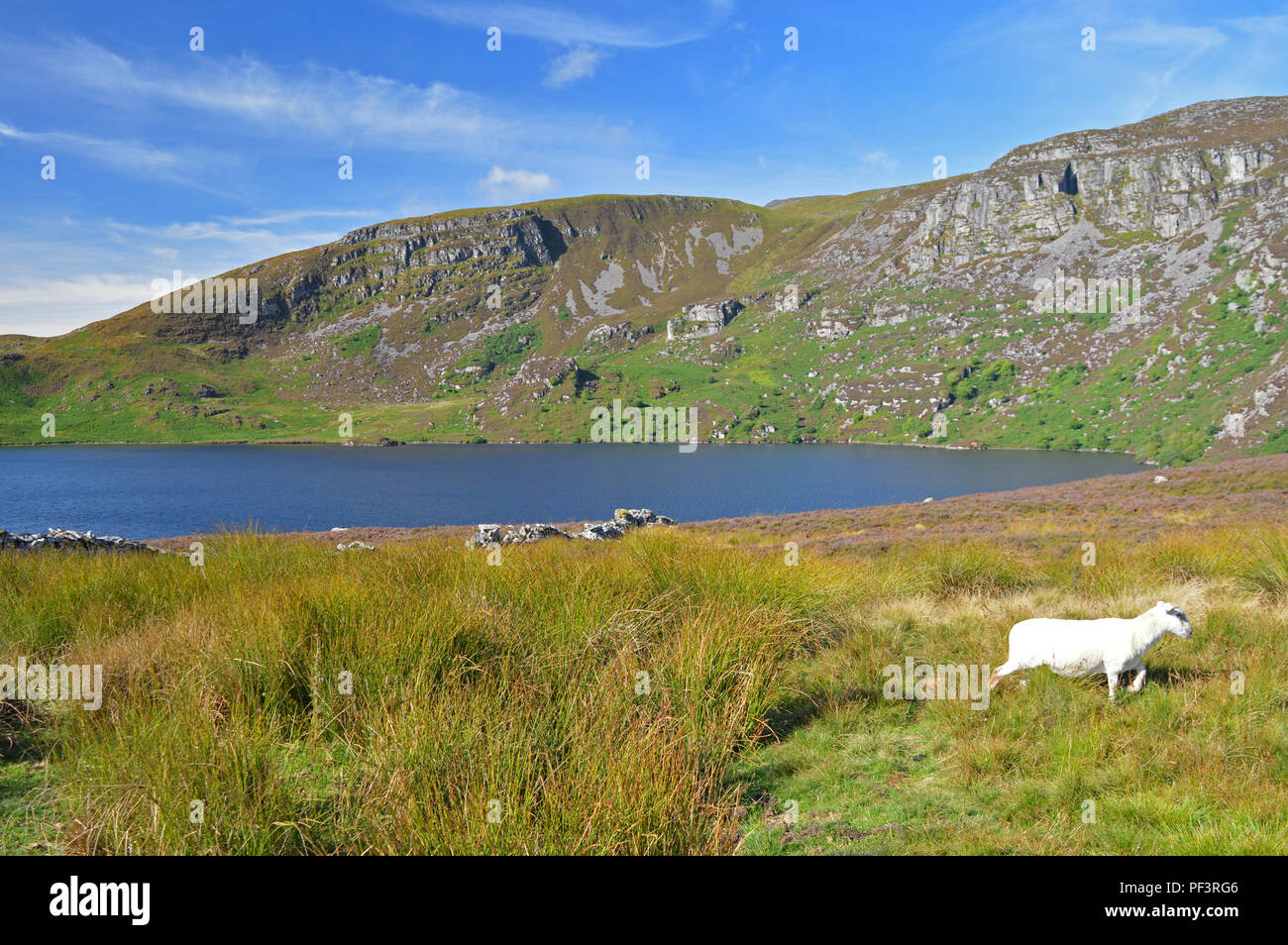 Arenig mountain range hi-res stock photography and images - Alamy