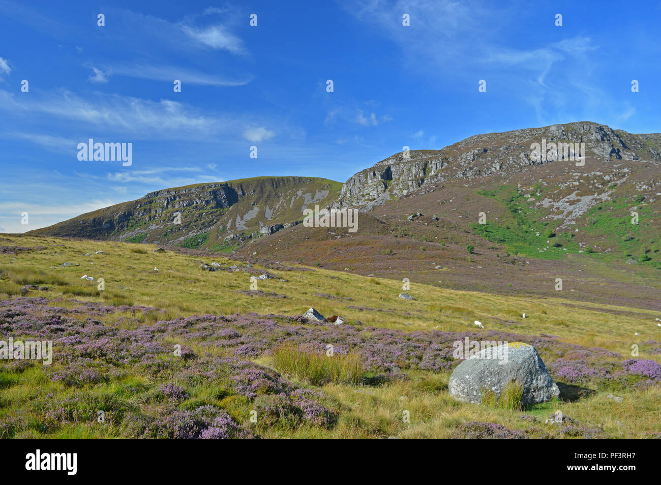 Arenig Fawr near Bala Stock Photo - Alamy