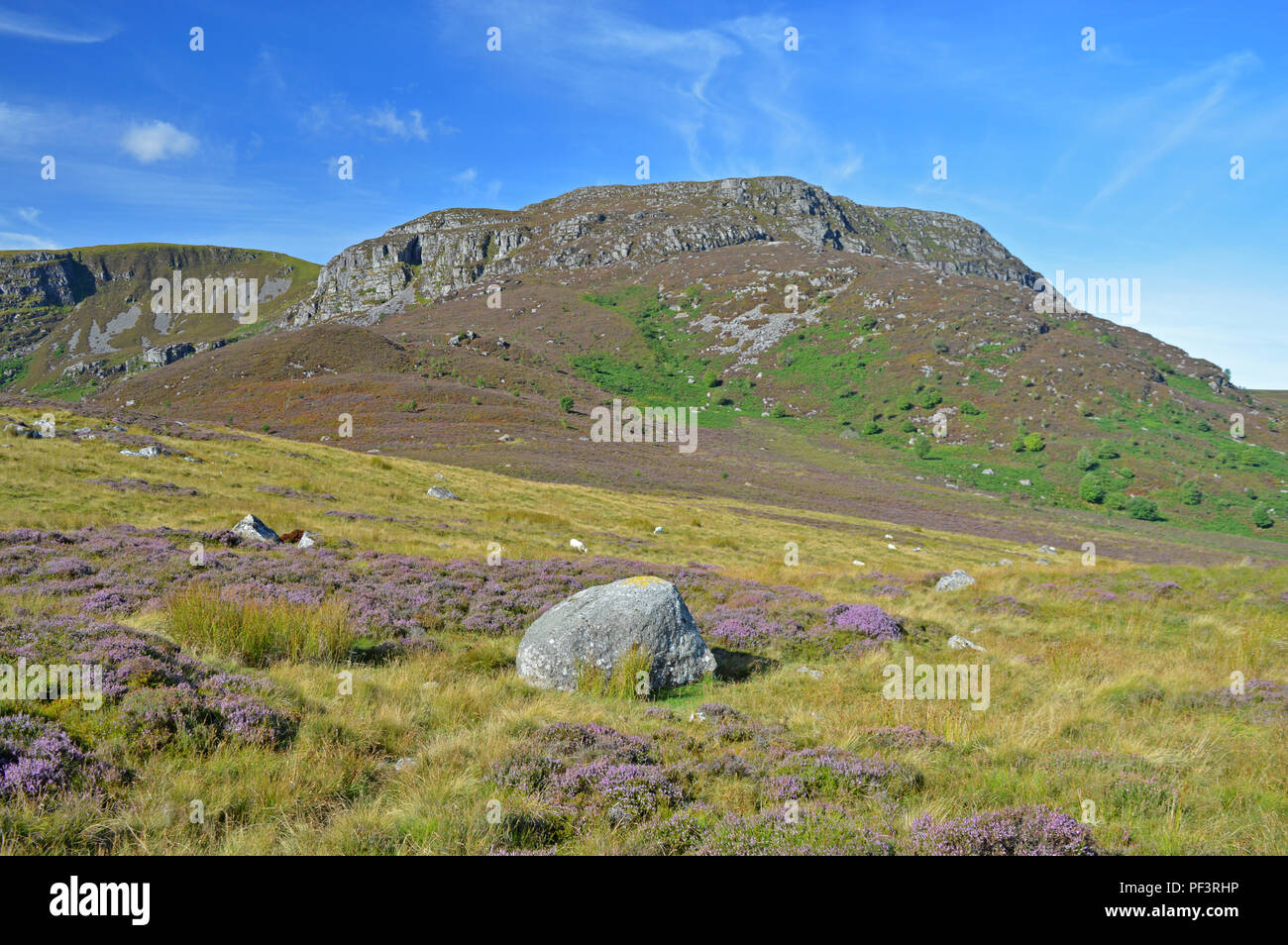 Arenig fawr hi-res stock photography and images - Alamy