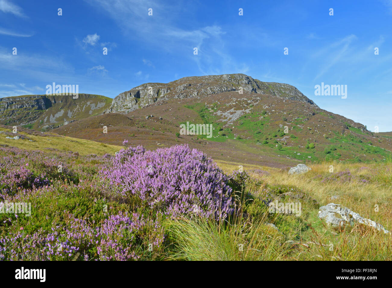 Arenig fawr hi-res stock photography and images - Alamy