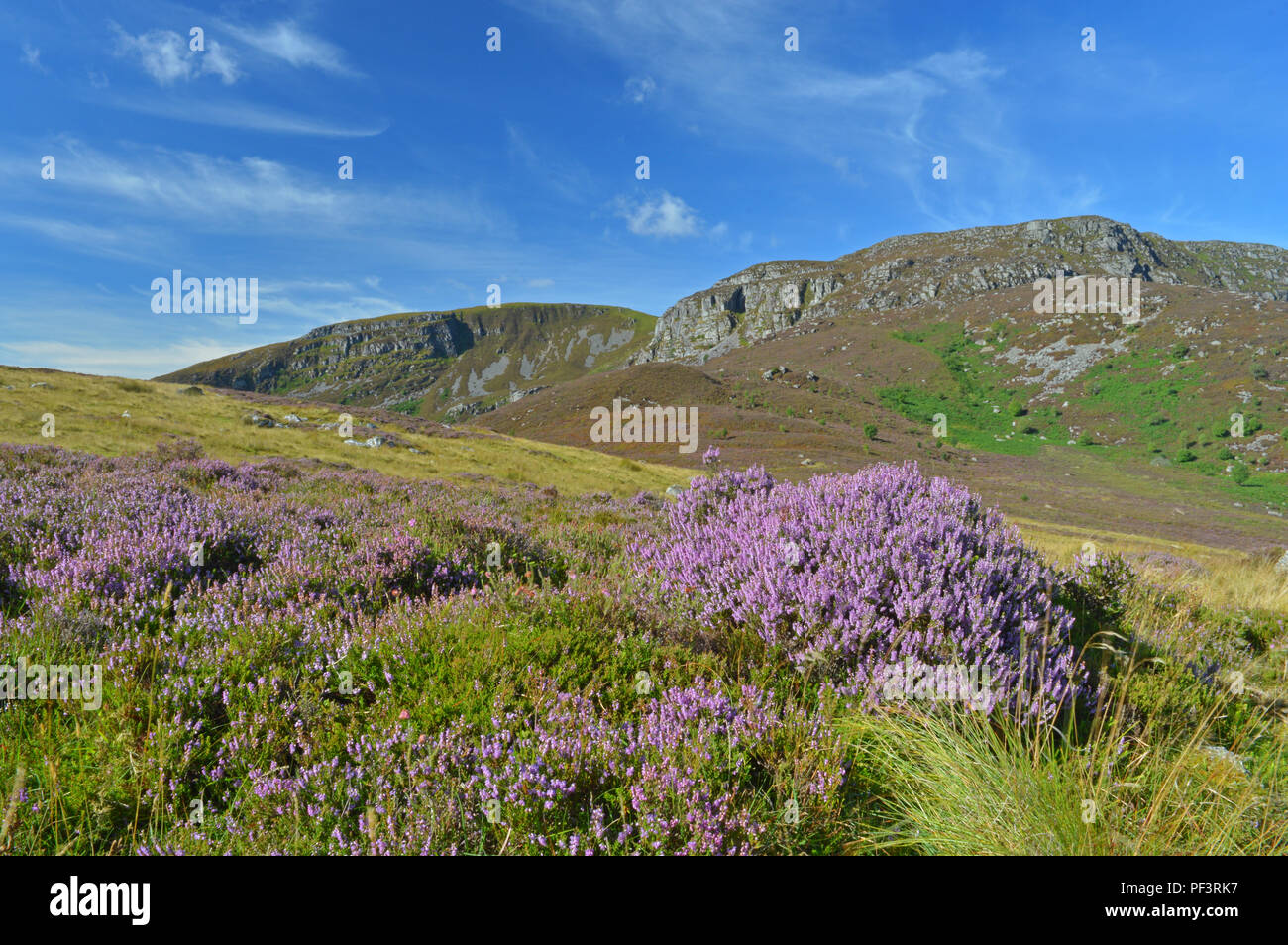 Arenig Mountain Range High Resolution Stock Photography and Images - Alamy
