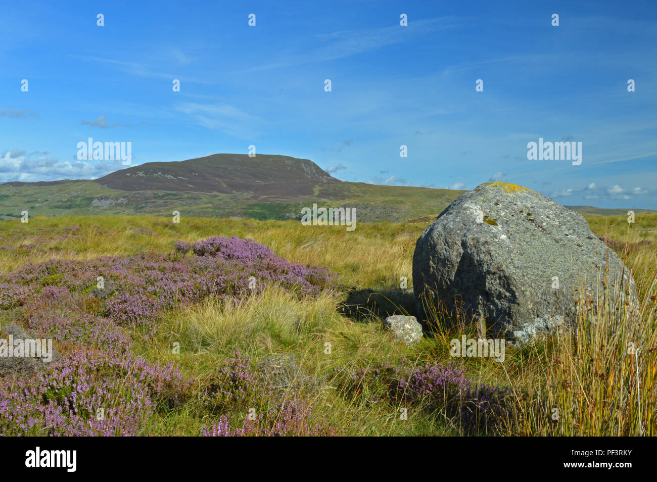 Arenig Fach High Resolution Stock Photography and Images - Alamy