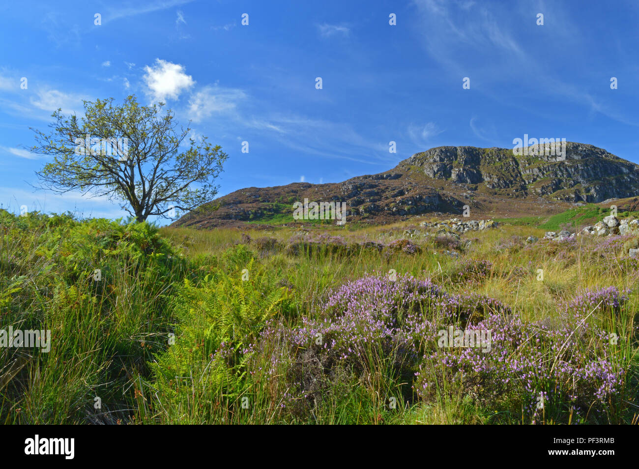 Arenigs hi-res stock photography and images - Alamy
