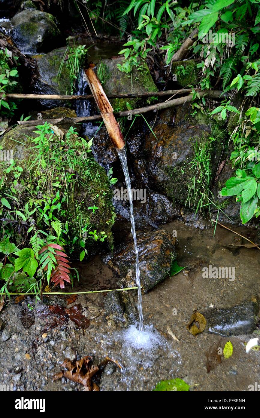 La zunga hi-res stock photography and images - Alamy