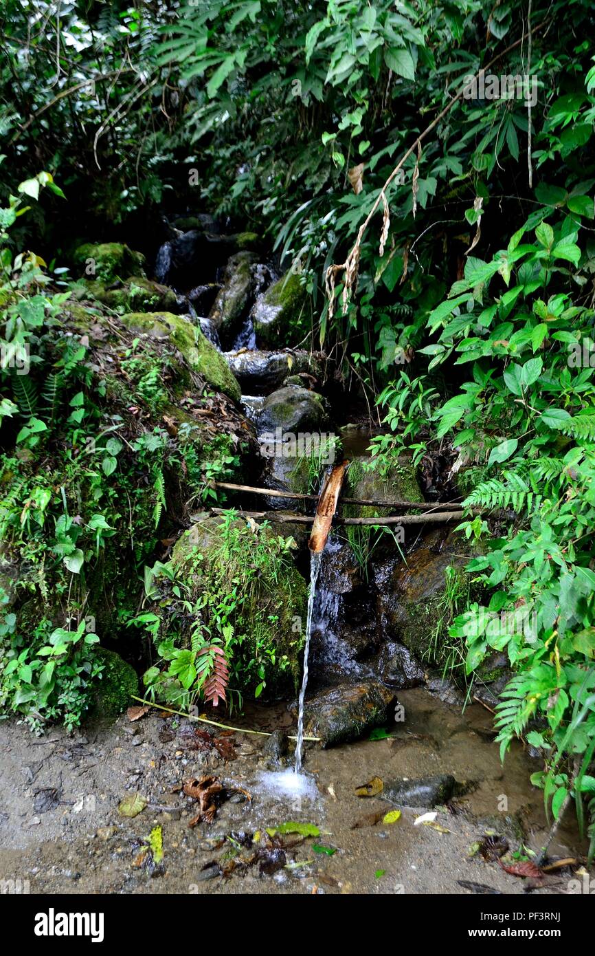 LA ZUNGA - Ecuador border -San Ignacio- Department of Cajamarca .PERU ...