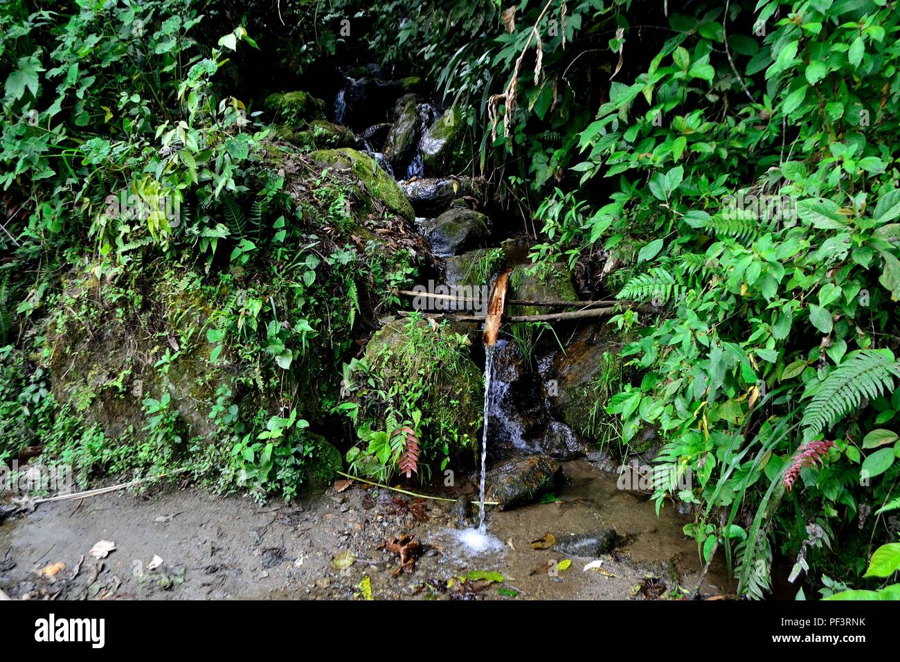 La zunga hi-res stock photography and images - Alamy