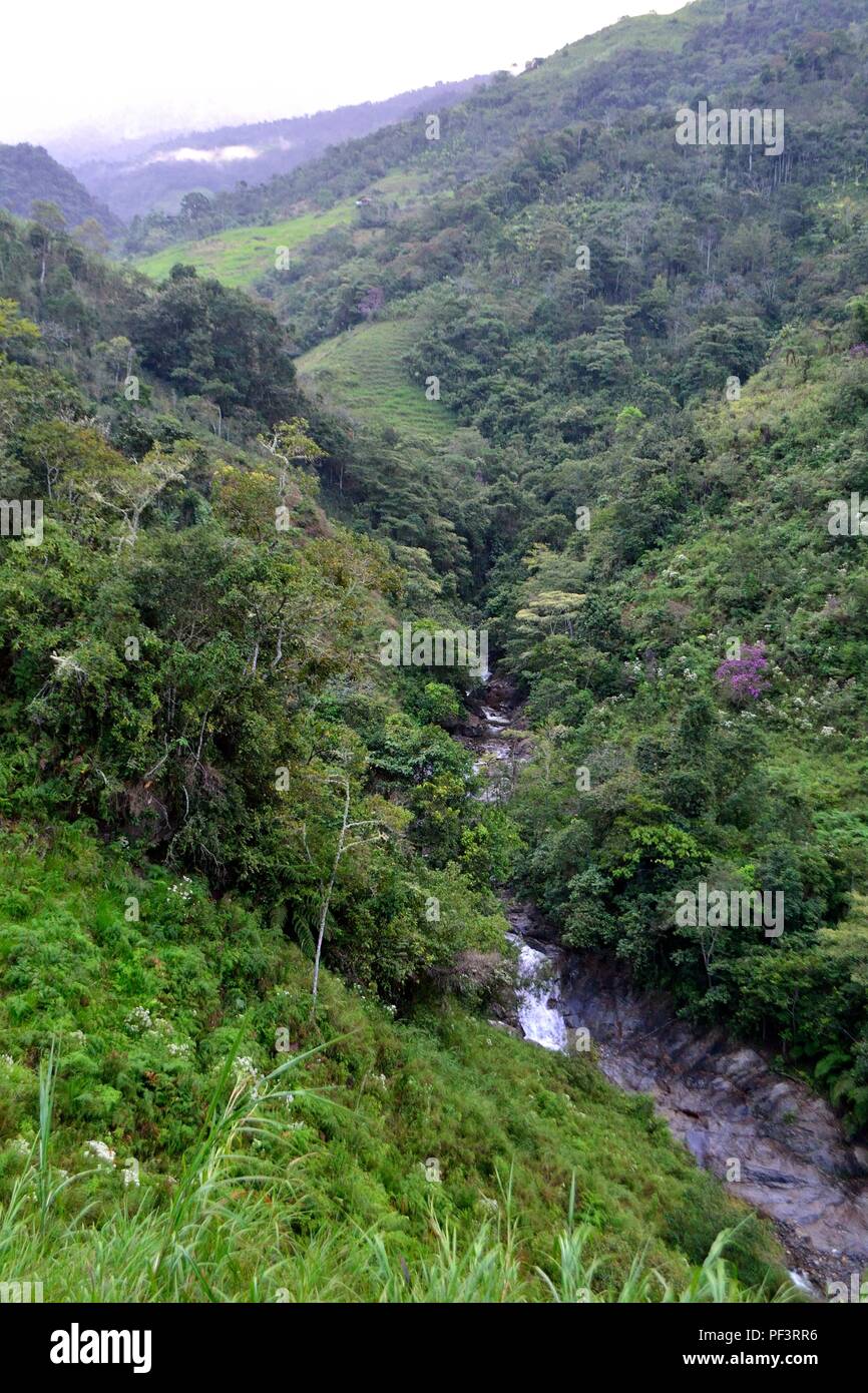 La zunga hi-res stock photography and images - Alamy