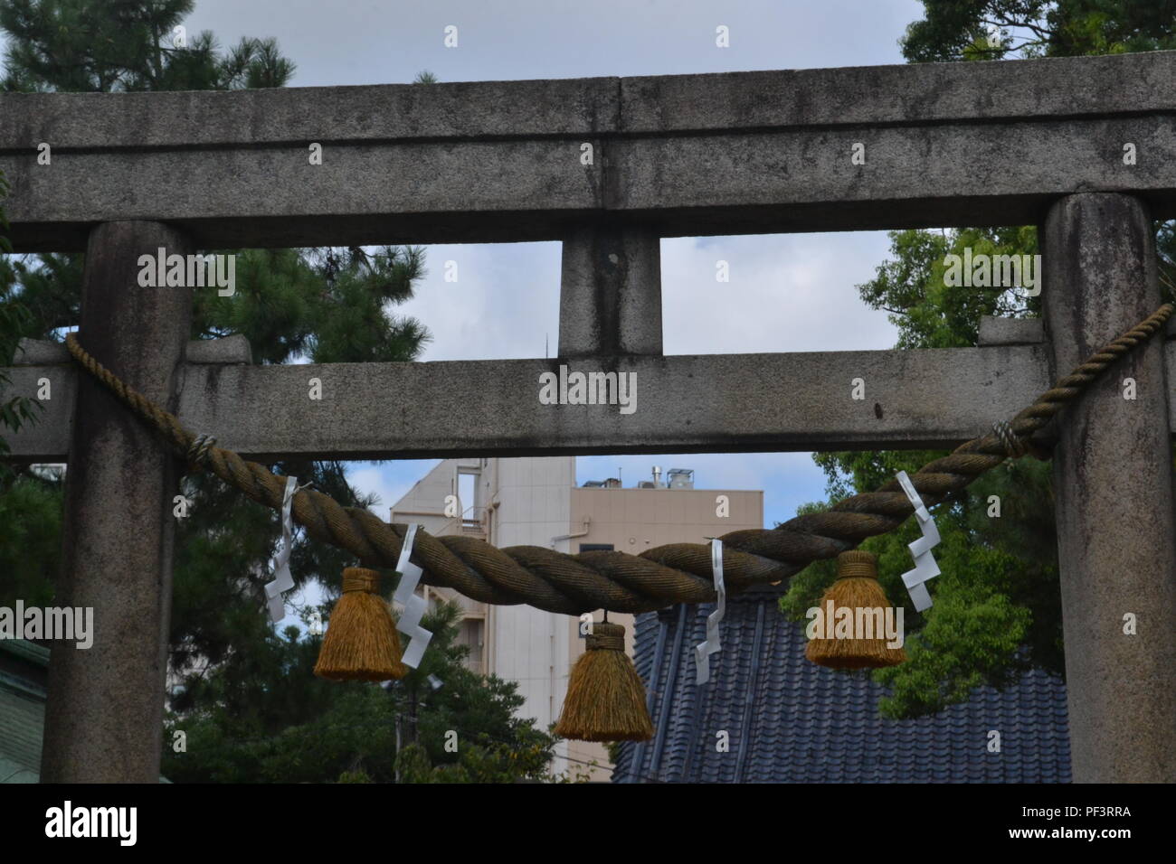Torri gate of Japanese shrine Stock Photo - Alamy