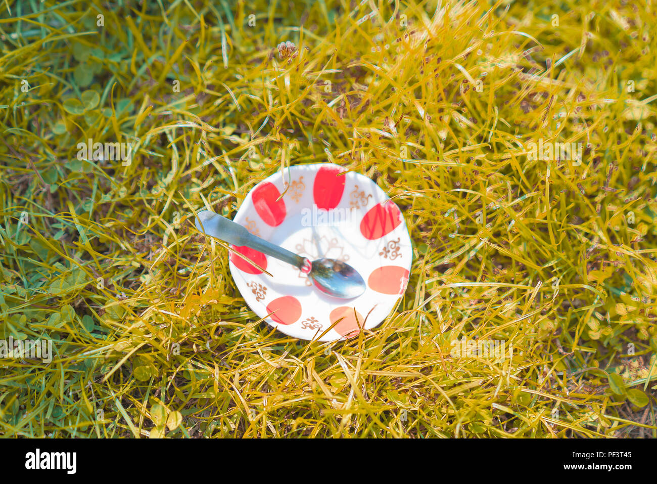Beautiful and brown objects standing on the grass Stock Photo - Alamy