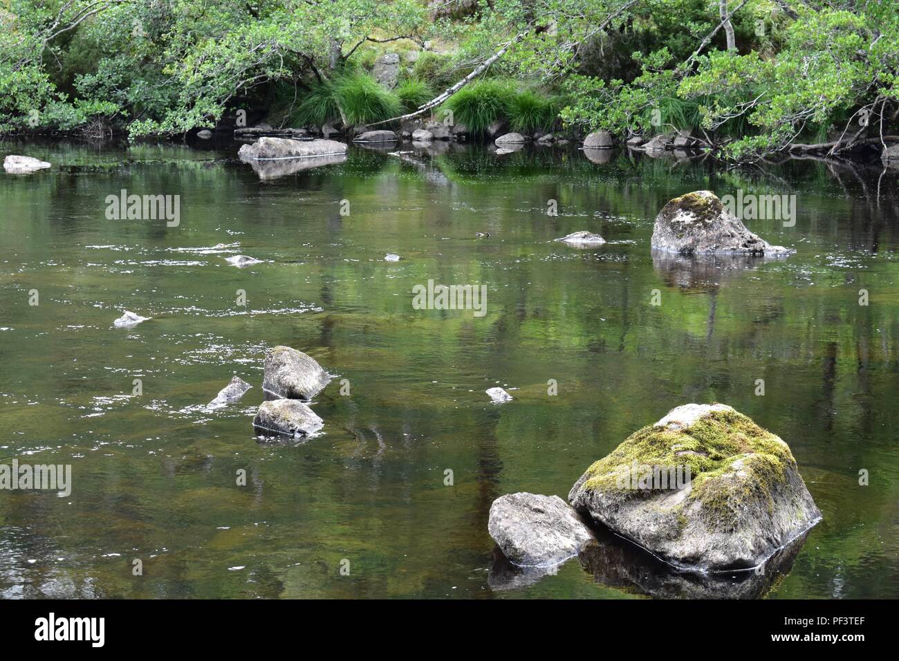 Rogie falls hi-res stock photography and images - Alamy
