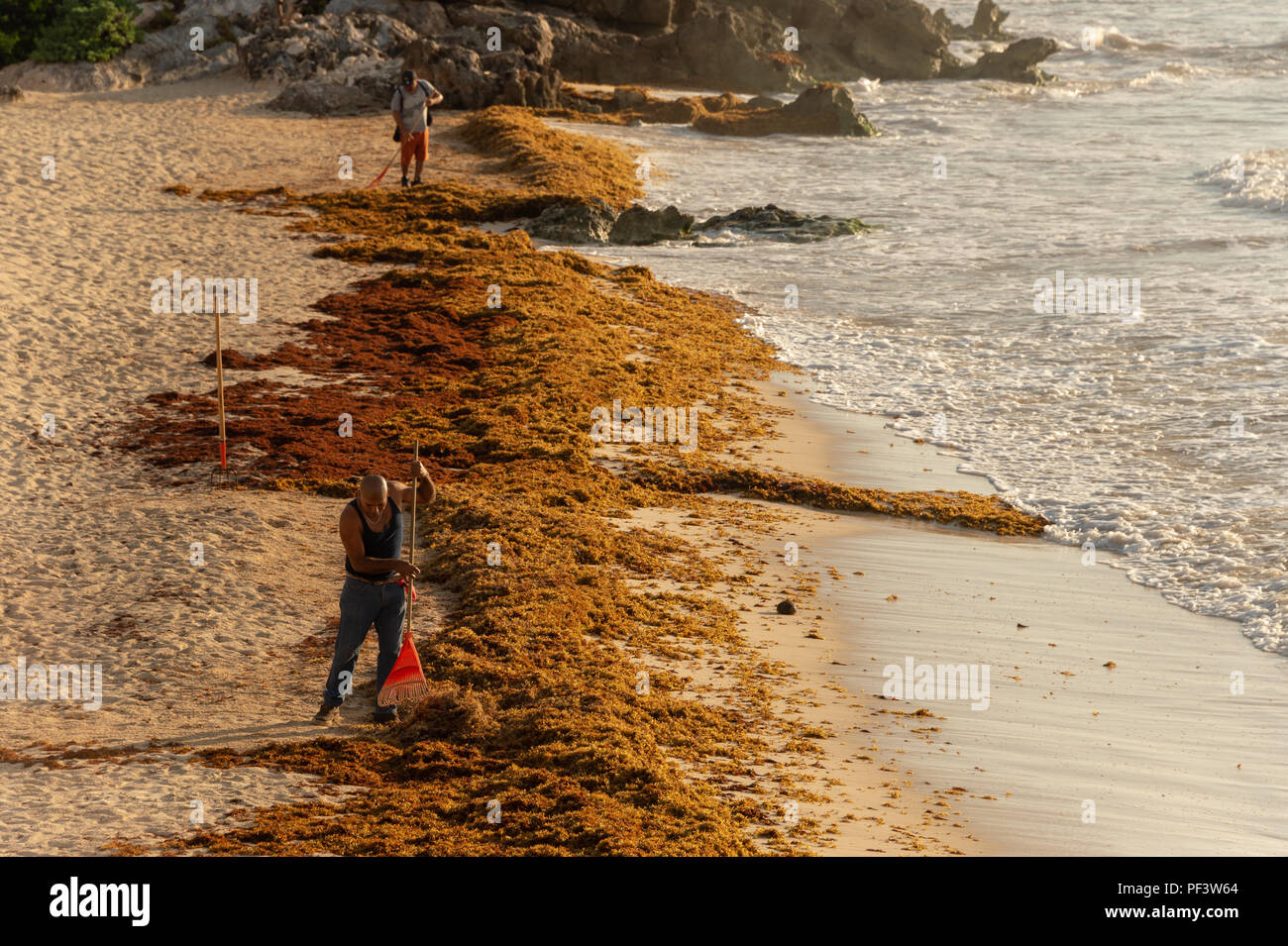 Cleaning beach beaches hi-res stock photography and images - Alamy