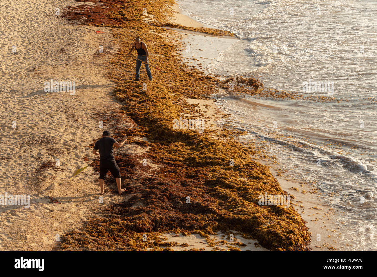 Cleaning beaches hi-res stock photography and images - Alamy