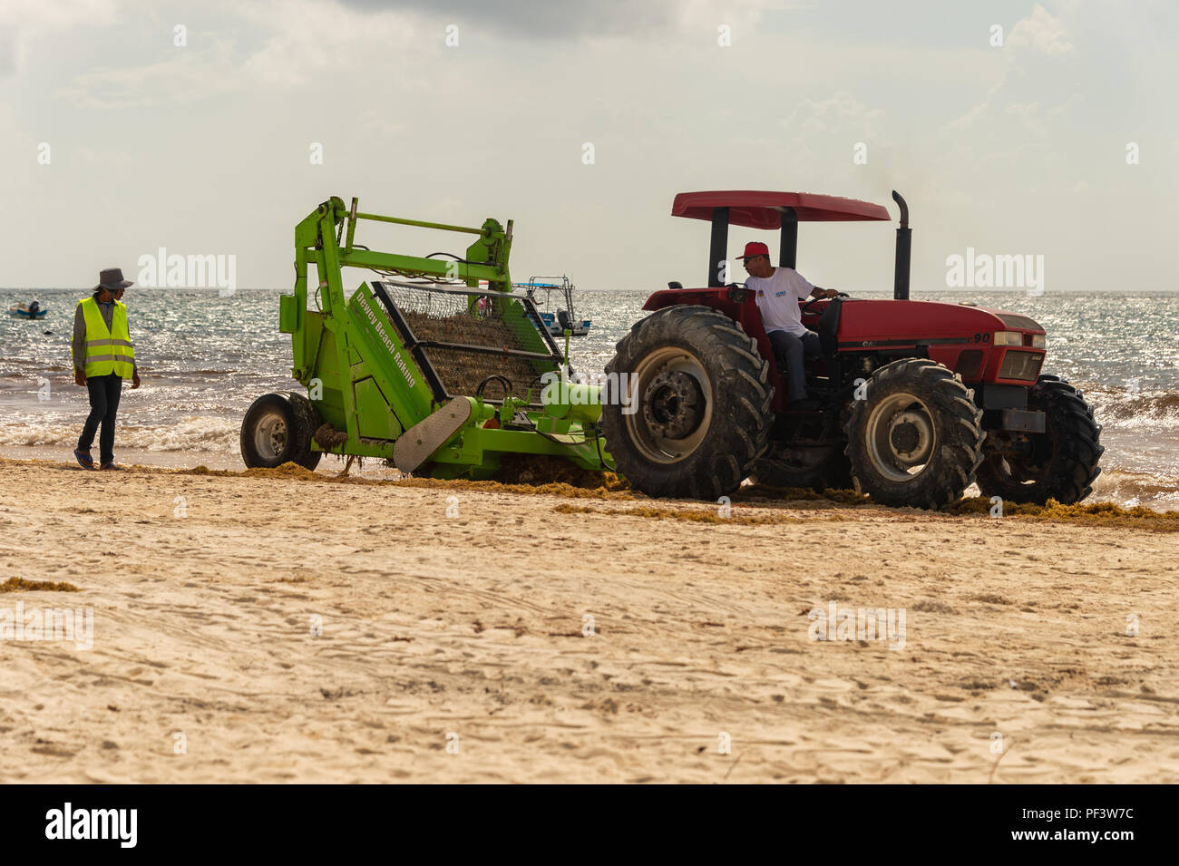 Sargassum seaweed and tractor hi-res stock photography and images - Alamy
