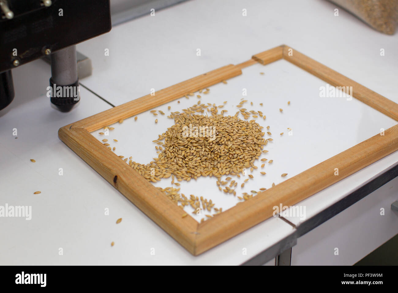 Grain inspection hi-res stock photography and images - Alamy