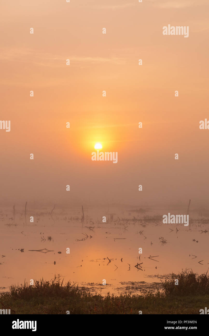View of the lake with sunrise at daybreak Stock Photo - Alamy