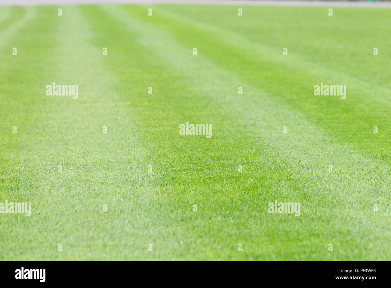 Football goal field grass mowed hi-res stock photography and images - Alamy