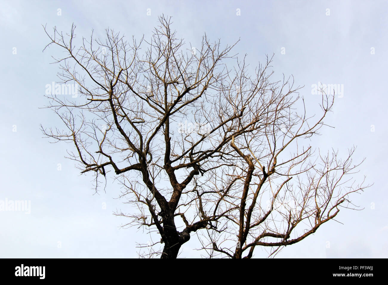 Death of the earth hi-res stock photography and images - Alamy