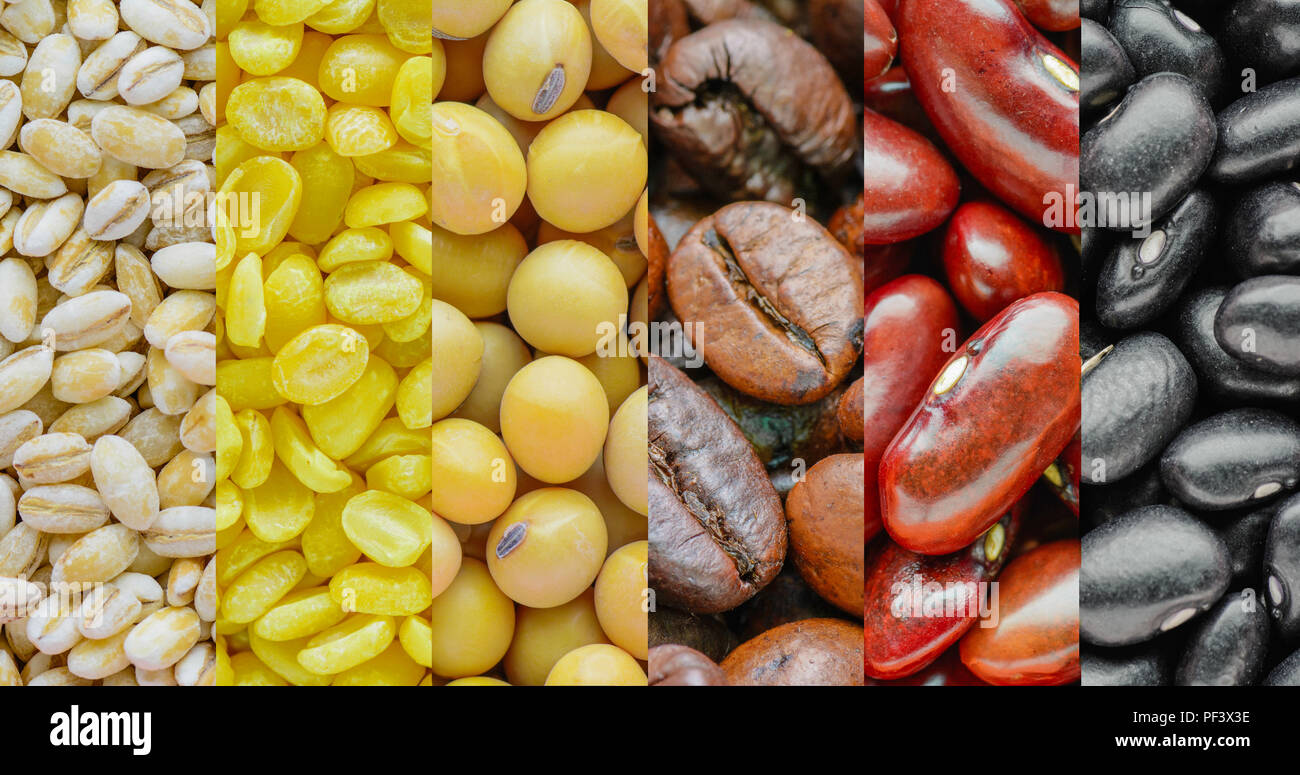 Healthy food background. Collection with different beans and grain ...
