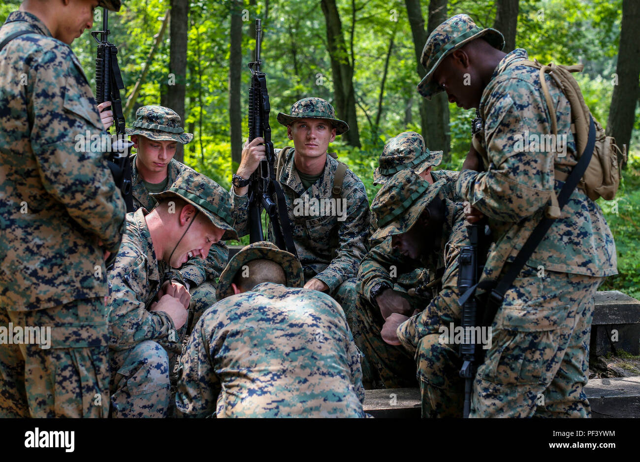 LCpl. Kevin Pierce, a Marine Aviation Logistics Squadron (MALS) 13 ...