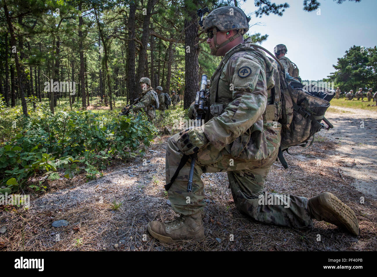 The 113th infantry battalion take part hi-res stock photography and ...