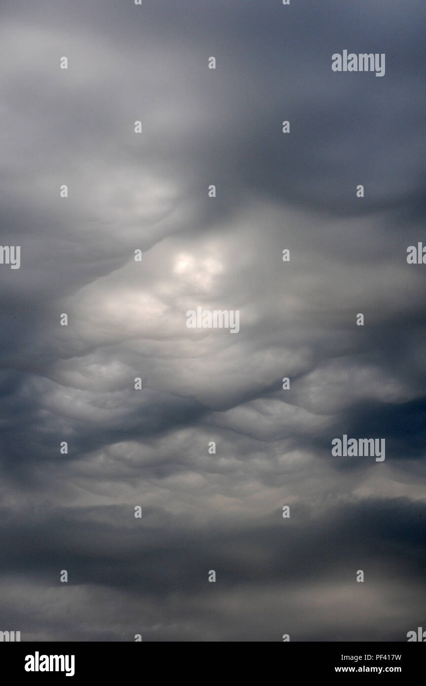 Altostratus Undulatus