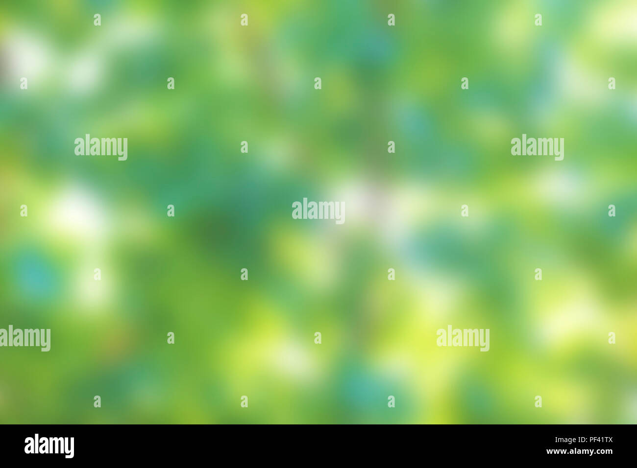 Green bokeh out of focus background from nature forest Stock Photo - Alamy