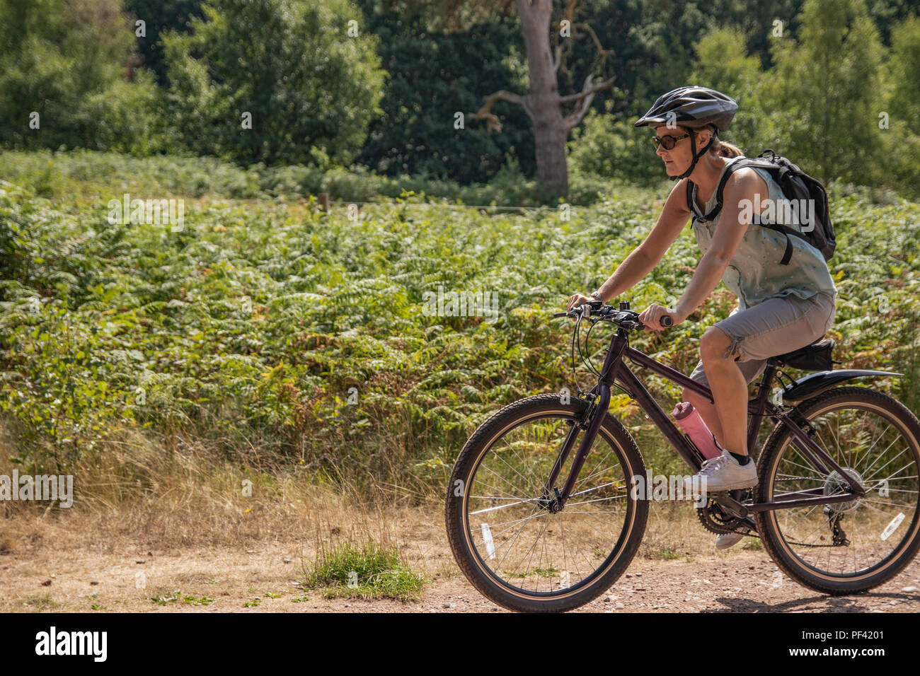 Woman riding bike on trail hi-res stock photography and images - Alamy