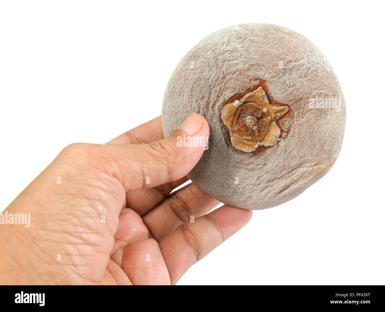Tropical Fruit, Hand Holding Sweet Dried Kaki or Persimmons Isolated on ...