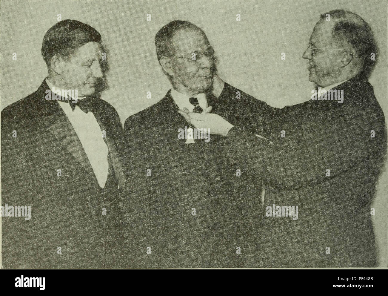 "The Palm of Alpha Tau Omega" (1880 Stock Photo - Alamy